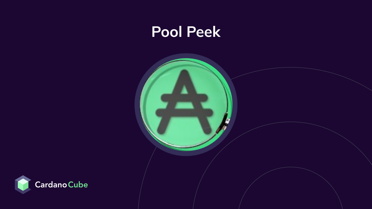 Pool Peek (EXPLORER) on the Cardano Blockchain | Prices, Charts, Teams & Ratings - CardanoCube.com